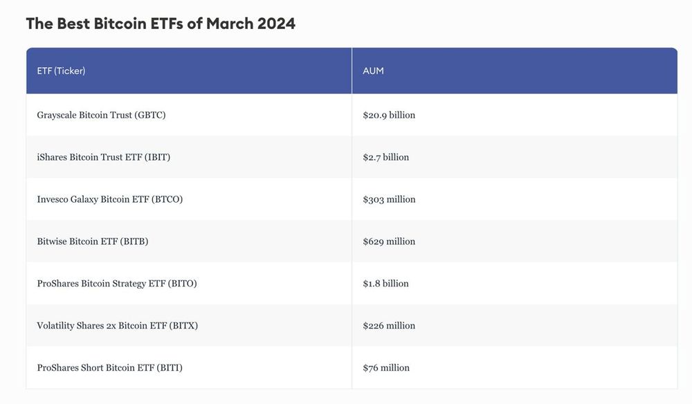 2024 Crypto VC Landscape: Bitcoin Peaks vs Venture Funding
